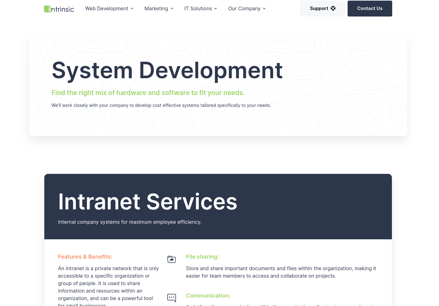 System Development | Analytics, Data, Intranet Management - Intrinsic ...